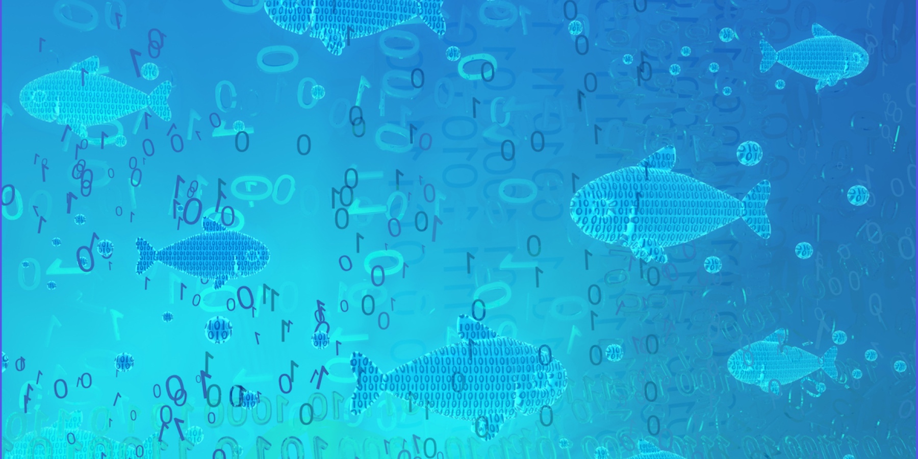 WordPress Website Design | Blue Water Bytes